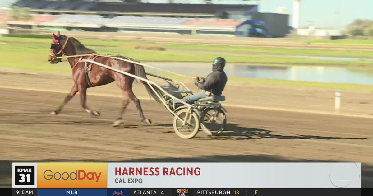 Harness Racing at Cal Expo is Back! - Good Day Sacramento