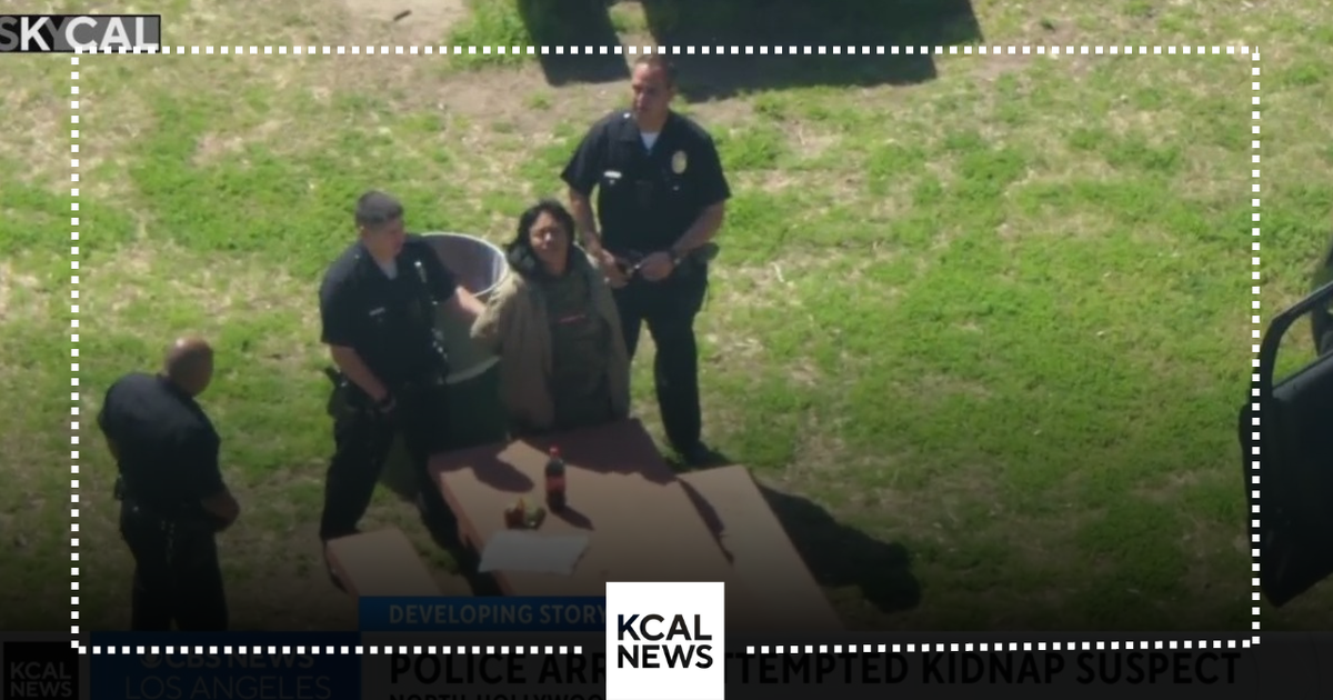 LAPD arrests woman for alleged kidnapping attempt at Target store - CBS ...