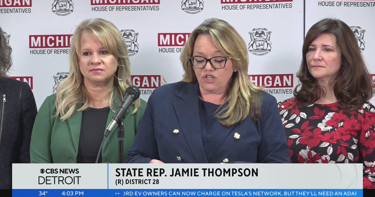 Michigan state representative calls for action amid alleged abuse at ...