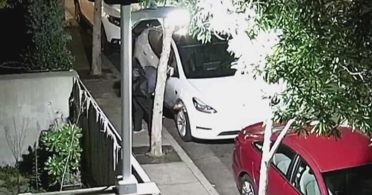 Raw: Arson suspect caught on surveillance video lighting Tesla on fire ...