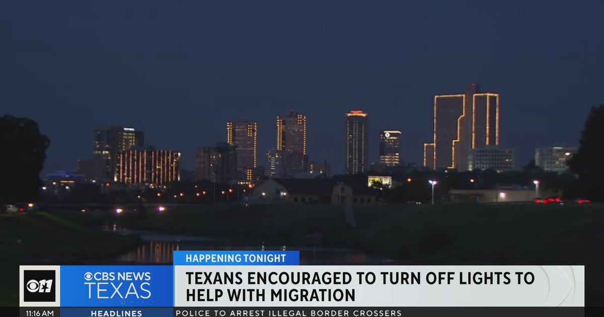 Texans encouraged to turn off lights to help birds migrate - CBS Texas