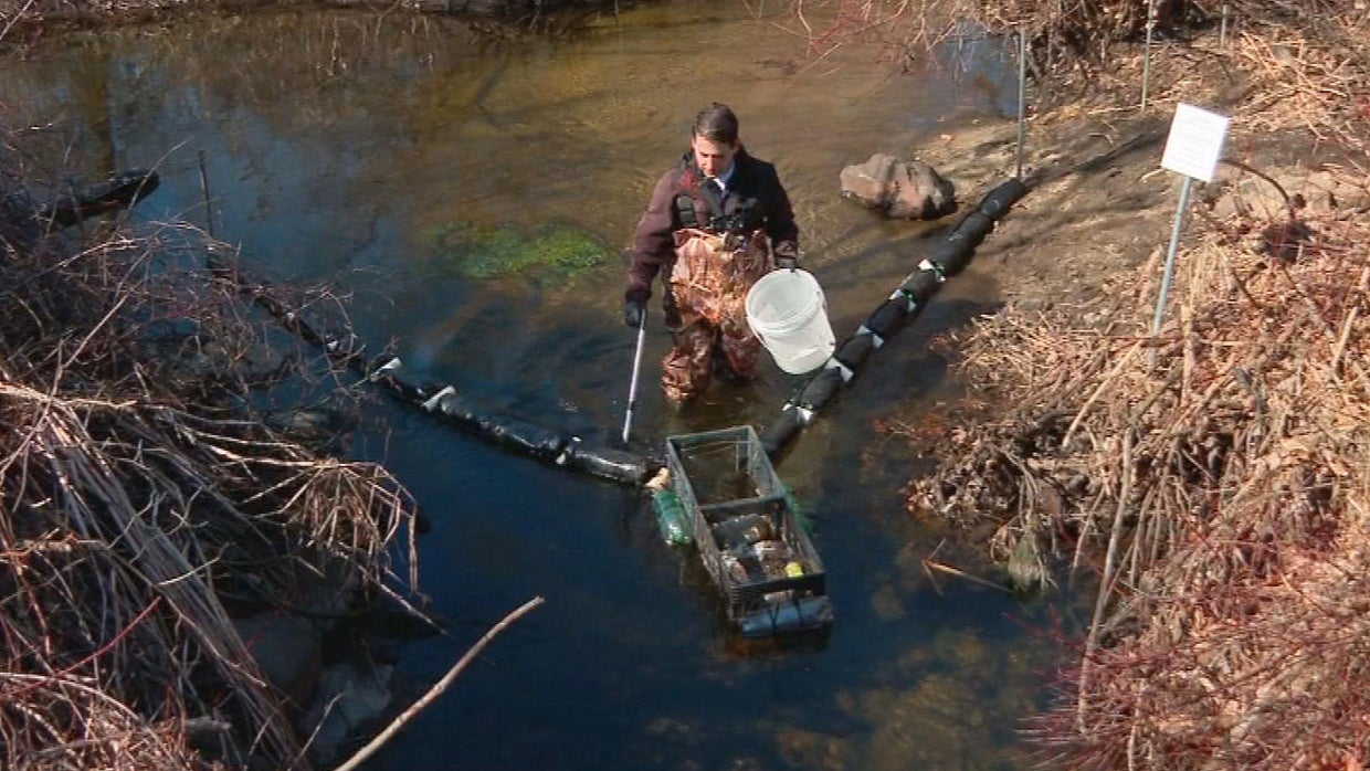 Massachusetts photographer's "crap trap" collects trash at Woburn pond ...