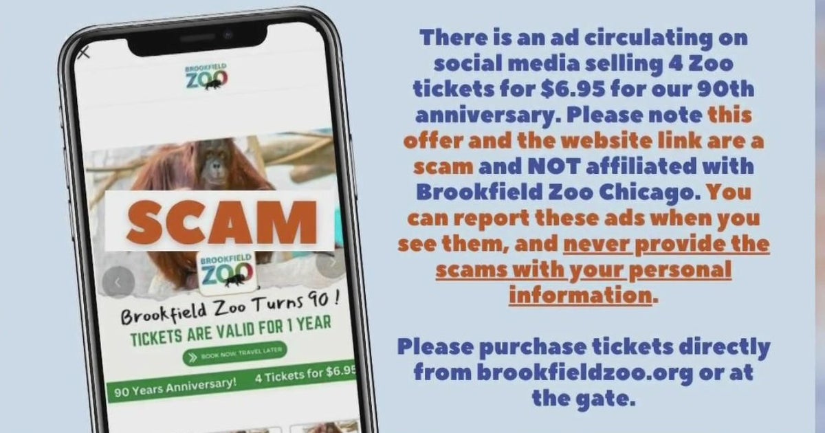 Brookfield Zoo warning guests of social media scam involving cheap ...