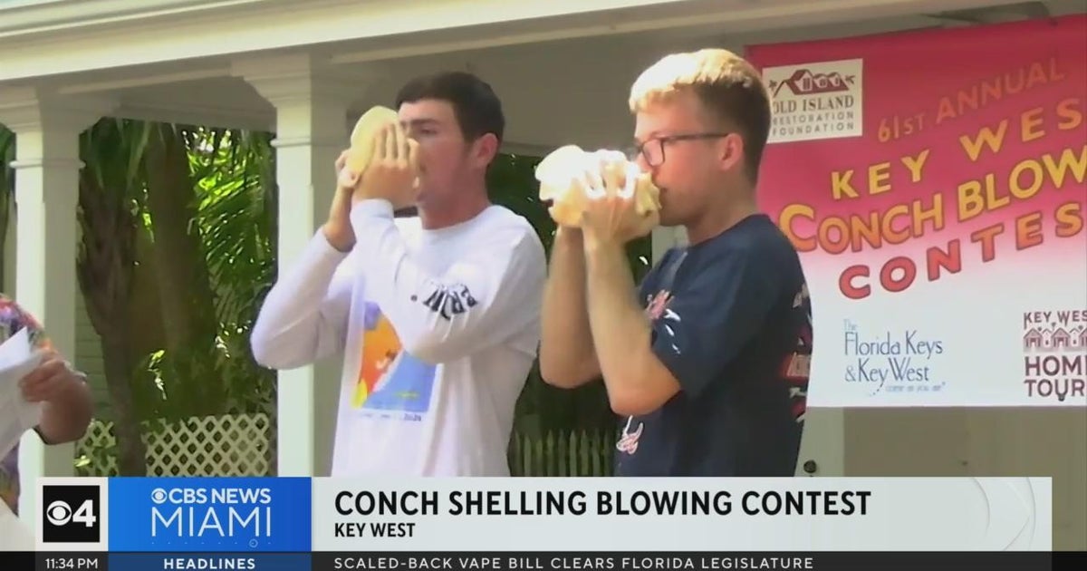 Key West conch shell blowing contest - CBS Miami