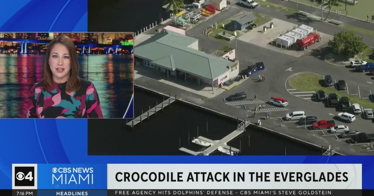 Man bitten by crocodile after his boat capsized in Everglades National ...