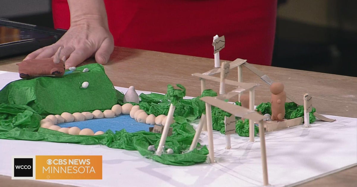 Minnesota Zoo hosts 10th annual ZOOMS STEM Design Challenge - CBS Minnesota