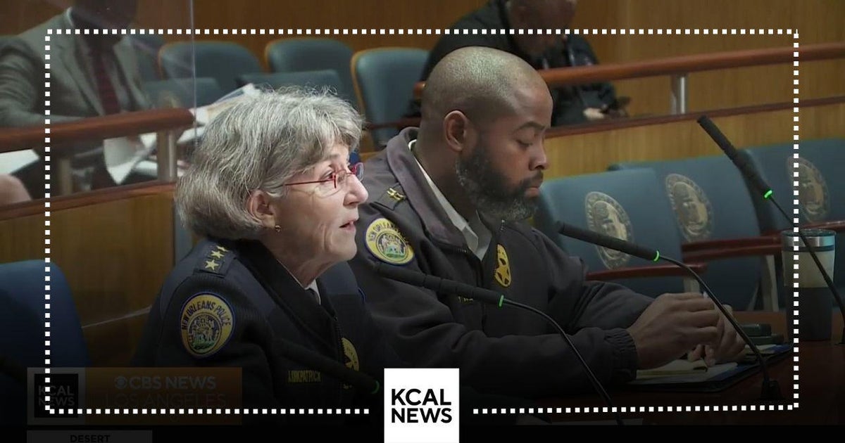 New Orleans police chief says "the rats are all high" as they eat the ...