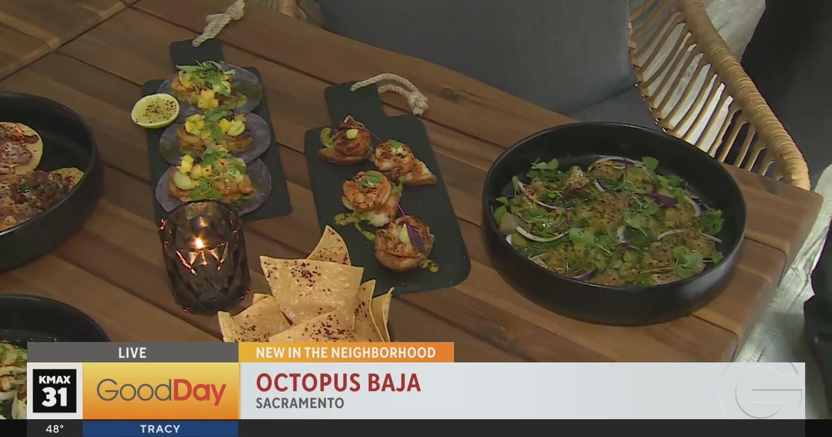Octopus Baja - Good Day Sacramento
