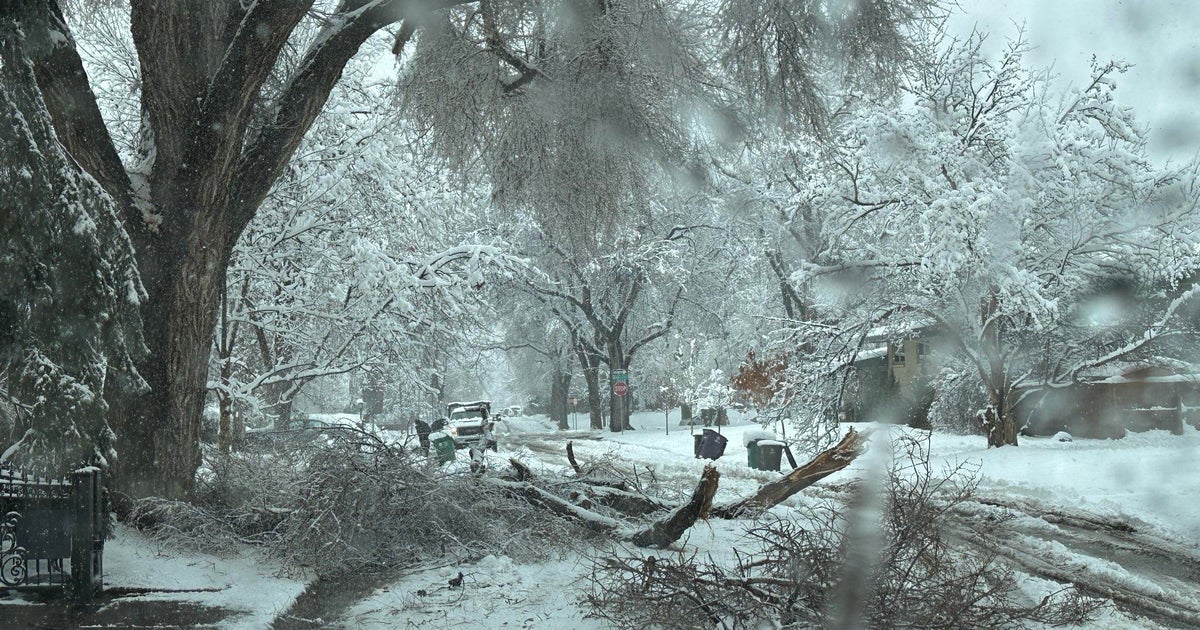 Heavy, wet snow means possibility of fallen trees, downed limbs in ...