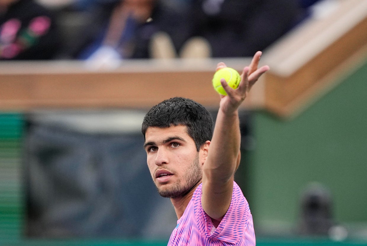 Bees swarm Indian Wells tennis tournament, prompting almost two-hour ...