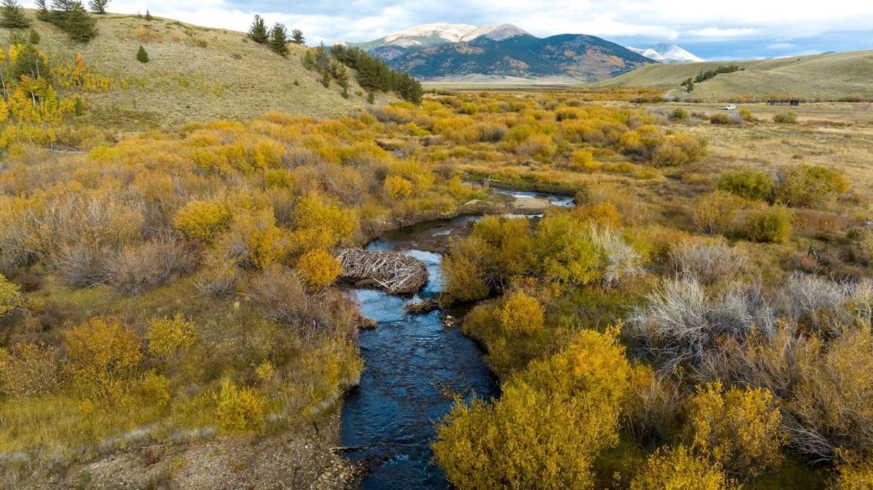 Check out Colorado's new Collard Ranch State Wildlife Area - CBS Colorado