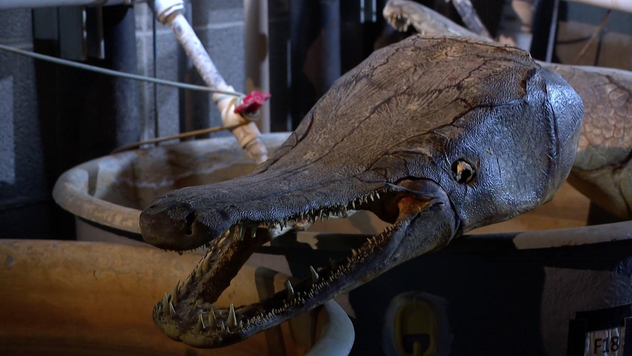 Ancient gars studied at new University of Minnesota lab in hopes of ...