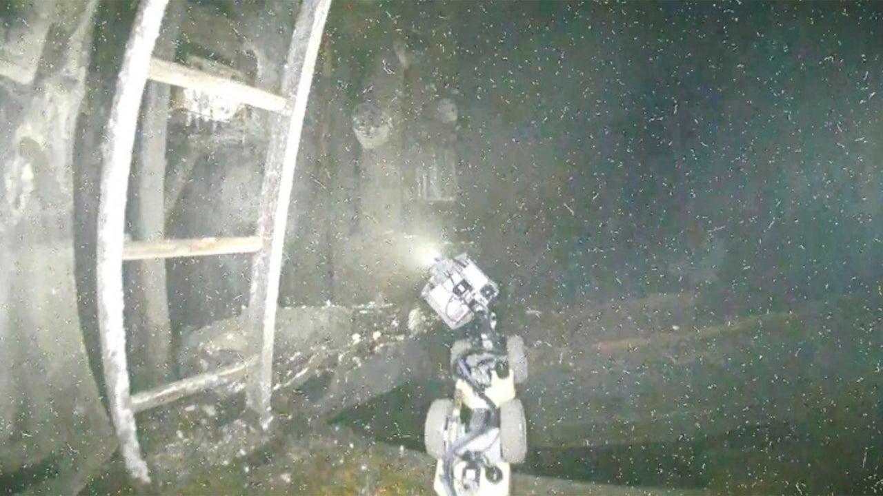 Disaster In Japan