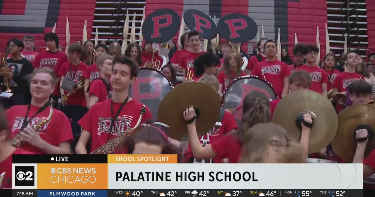 School Spotlight: Going the extra mile at Palatine High School - CBS ...