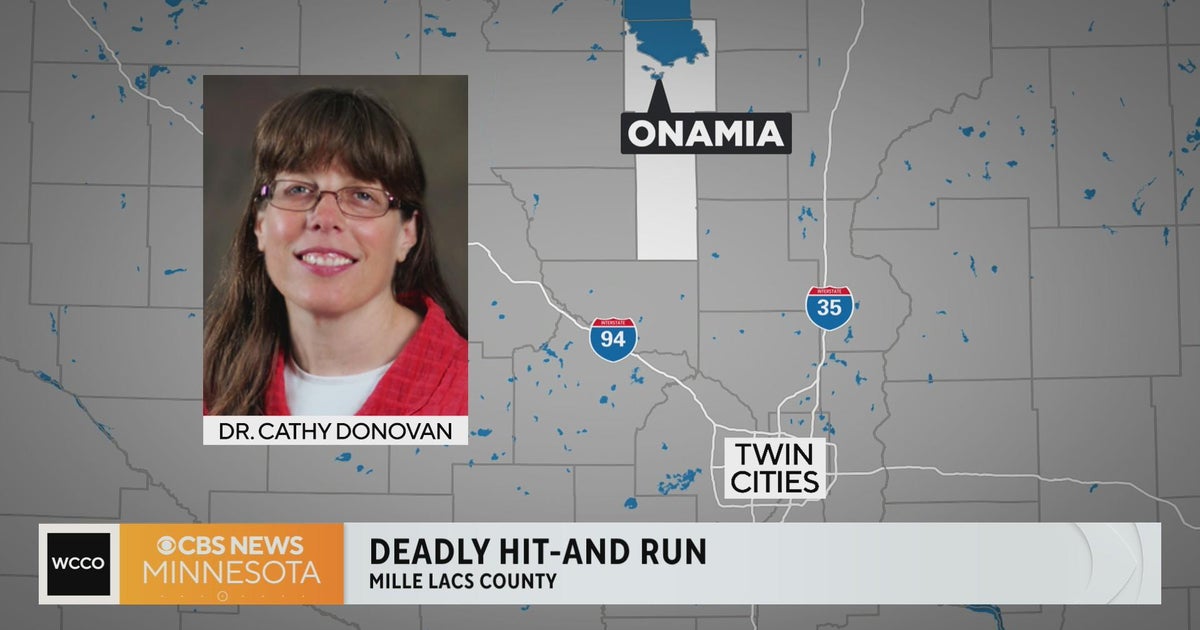 Investigators seek Google’s help to catch driver who killed Dr. Cathy ...