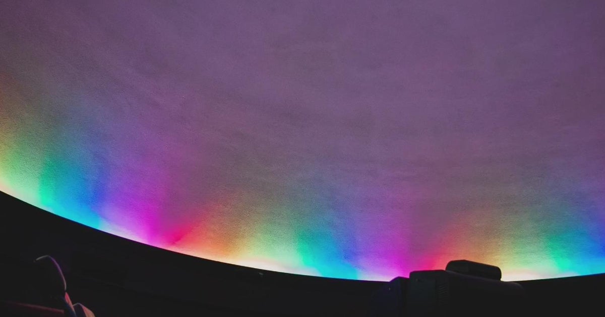 Spring into science at the Cranbrook Institute of Science - CBS Detroit