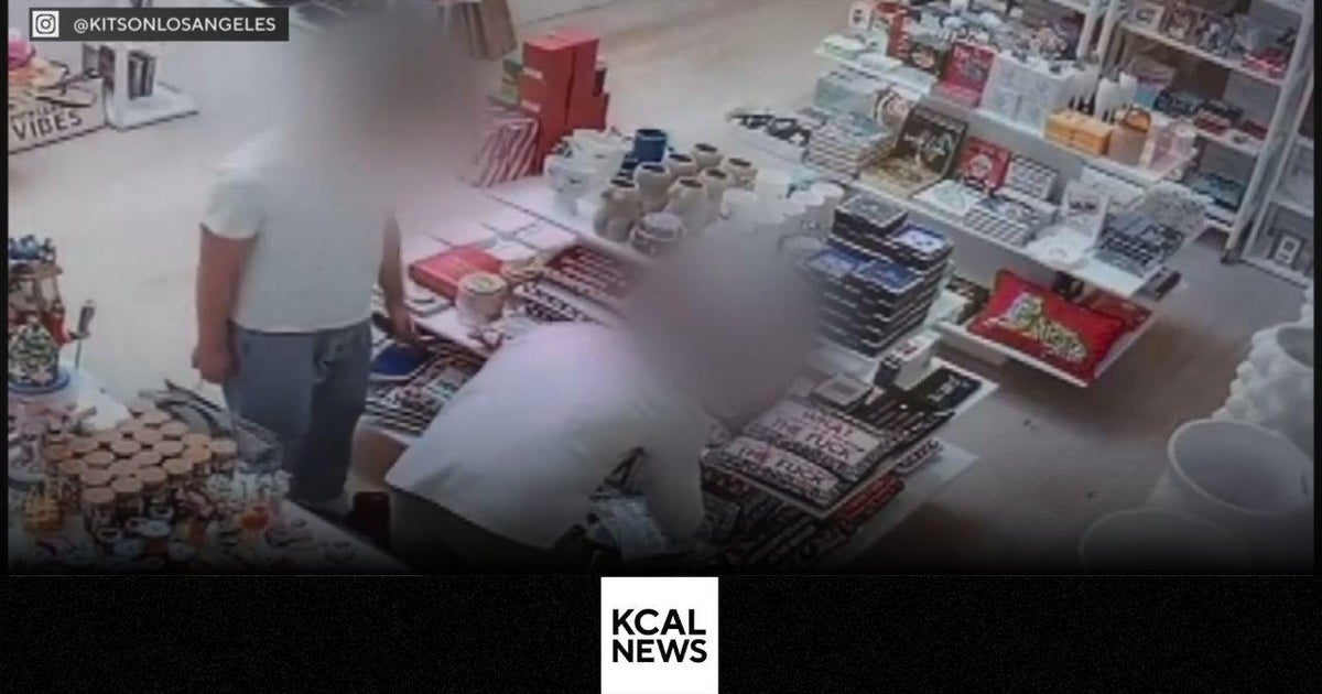Caught on camera: Store owner goes to social media to identify alleged ...