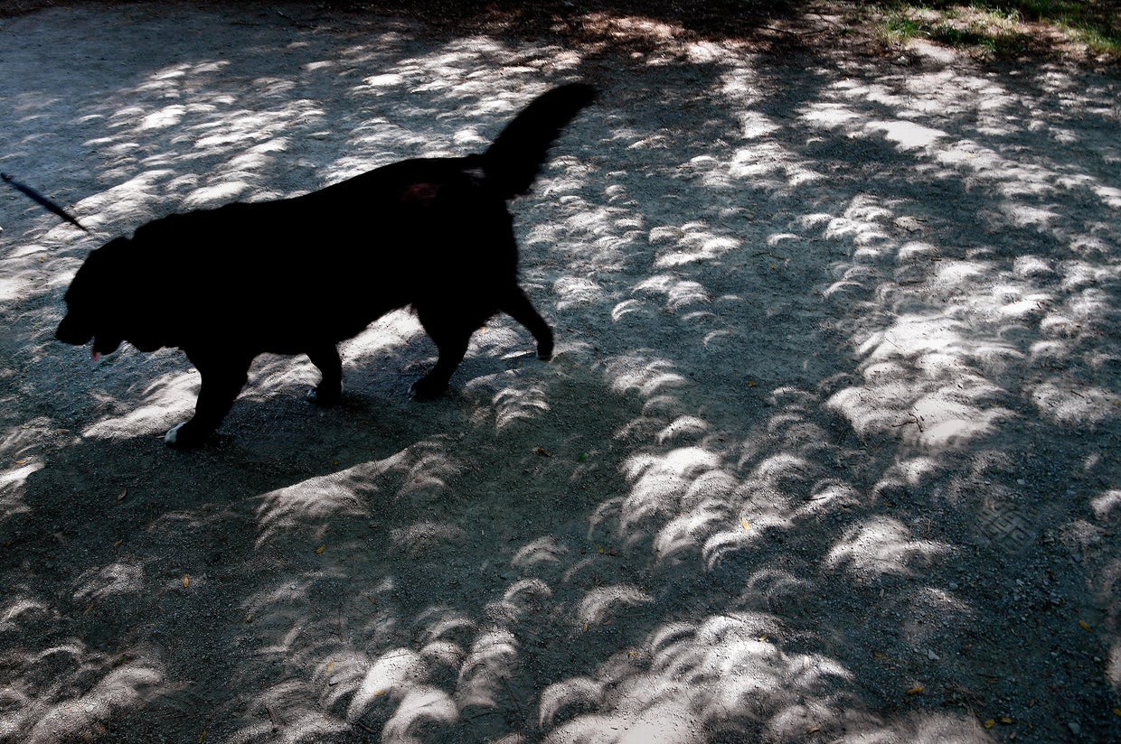 When was the last total solar eclipse in the U.S.? Revisiting 2017 in ...