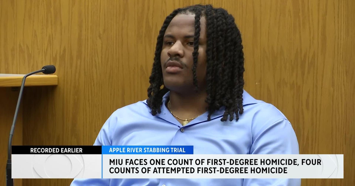 Jawahn Cockfield, who filmed deadly Apple River encounter, testifies in ...