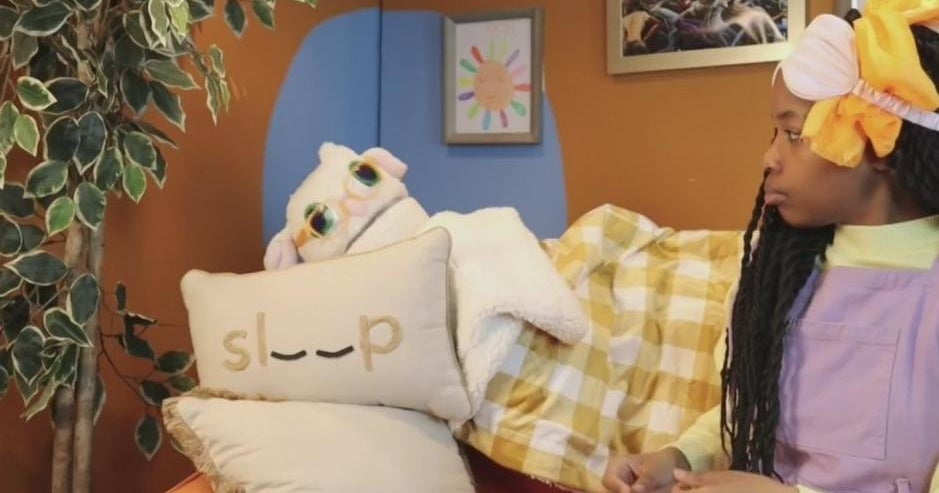 Detroit-based "The Nap Time Show" educates children on healthy sleep ...