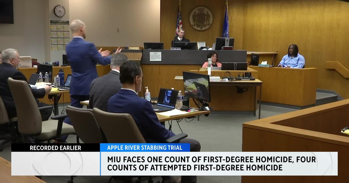 Jawahn Cockfield, who filmed deadly Apple River encounter, testifies in ...