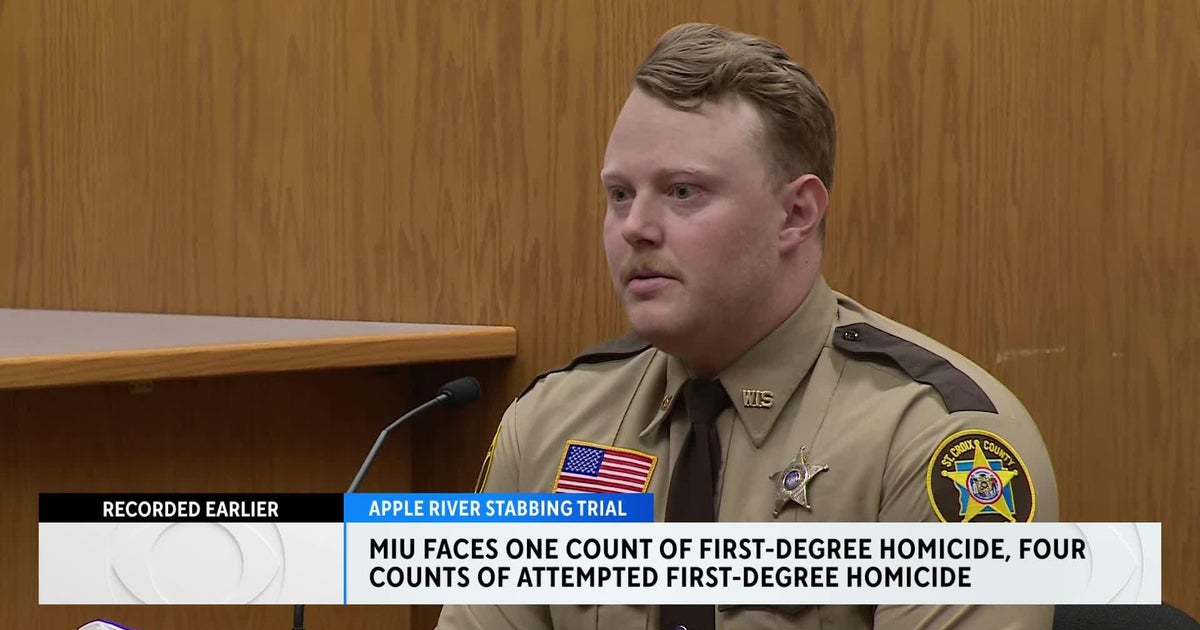 New body camera video shows moments of Nicolae Miu's arrest - CBS Minnesota