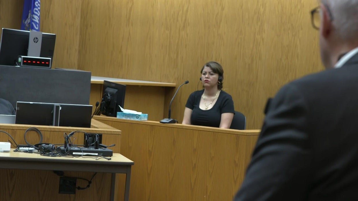 First week of Nicolae Miu's Apple River stabbing trial ends with ...