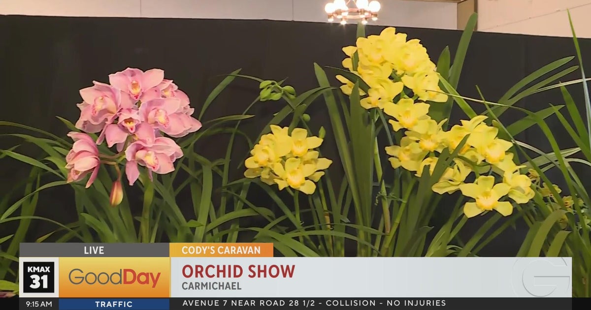 Orchid Show, 9am - Good Day Sacramento