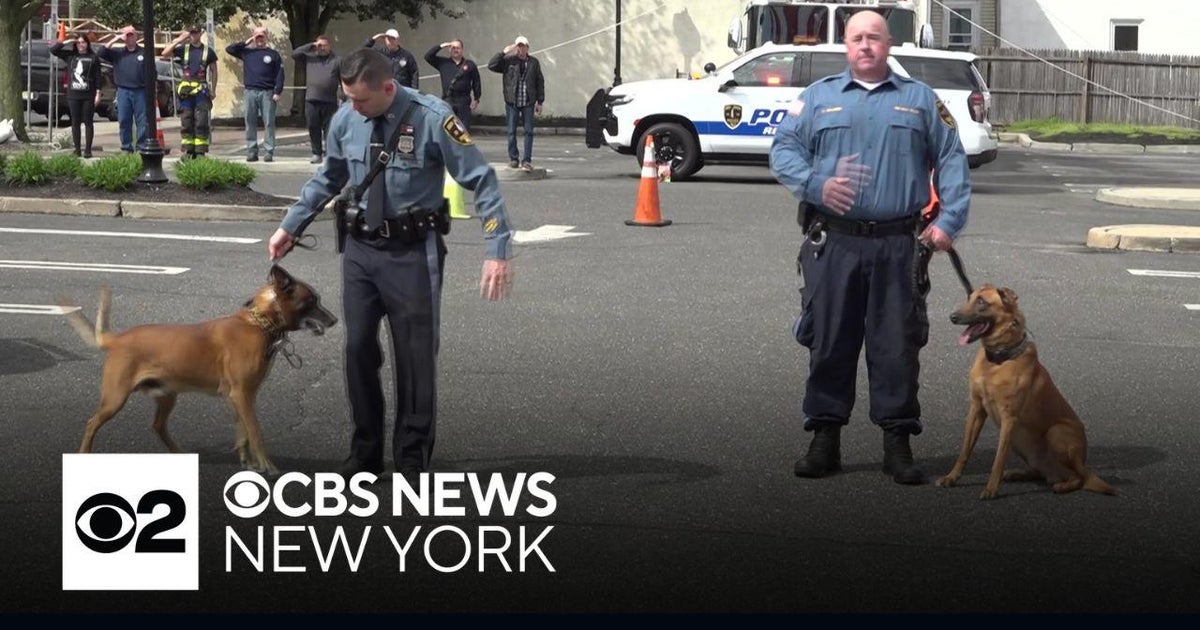 2 K-9s retire from Red Bank, N.J. police. What's next for them? - CBS ...