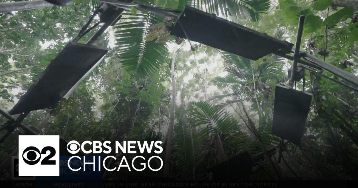 Scientist goes to great lengths to explore impact of climate change on ...