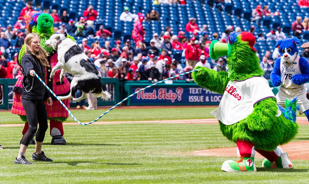 Celebrating the Phanatic's birthday and looking back at some of the ...