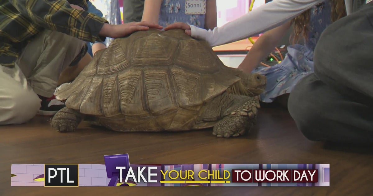 The Wild World of Animals brings some friends to the PTL studios - CBS ...