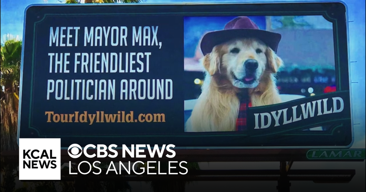 Heading to the Inland Empire to meet Idyllwild's "paw-litician" Mayor ...