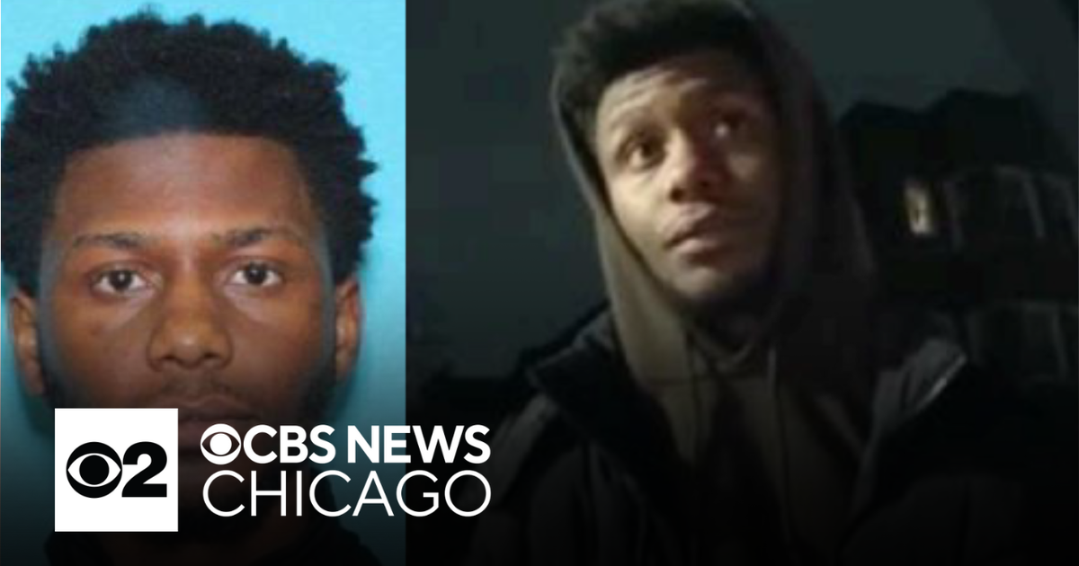 Chicago police searching for suspect in shooting death of officer Luis ...