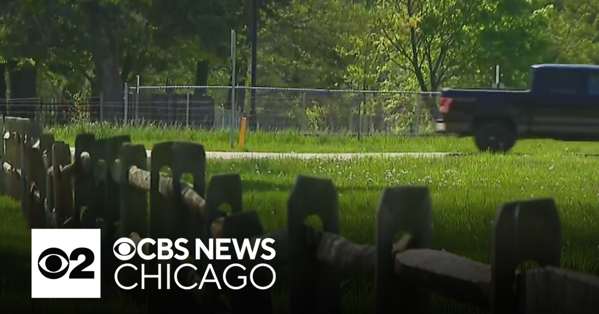 After dog attack in suburban Chicago park, a man was charged with ...