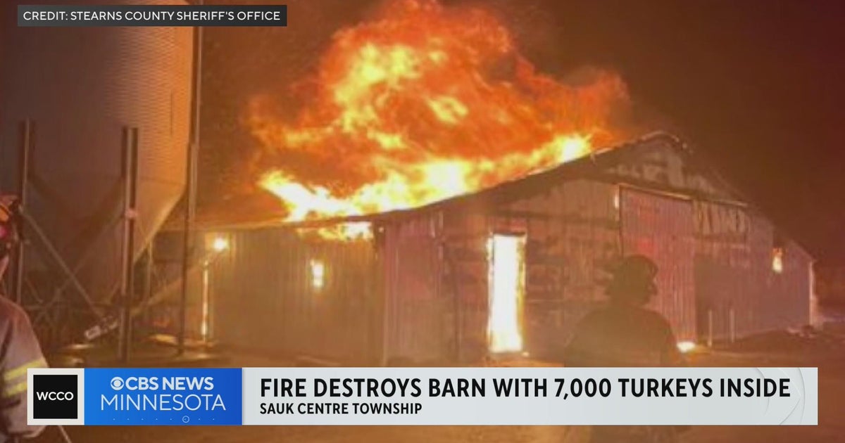 Thousands of turkeys killed in fire - CBS Minnesota