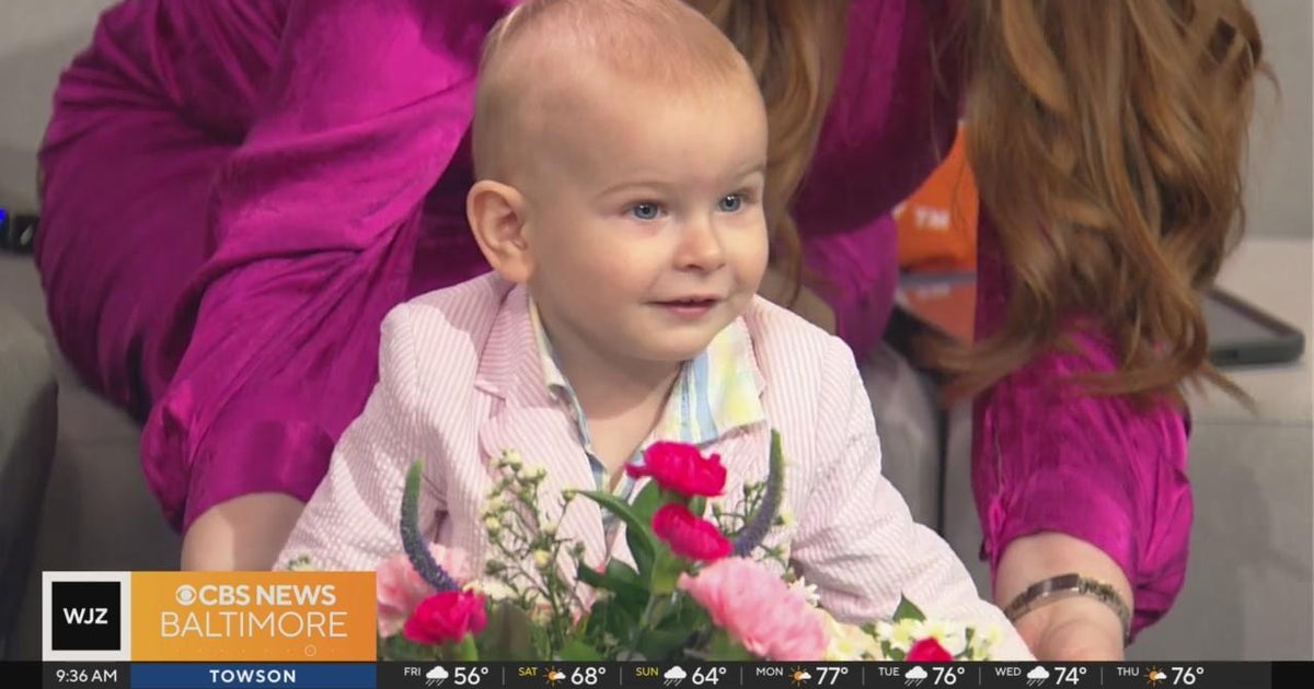 A year of Teddy: Meg reflects on the joy and challenges of being a new ...