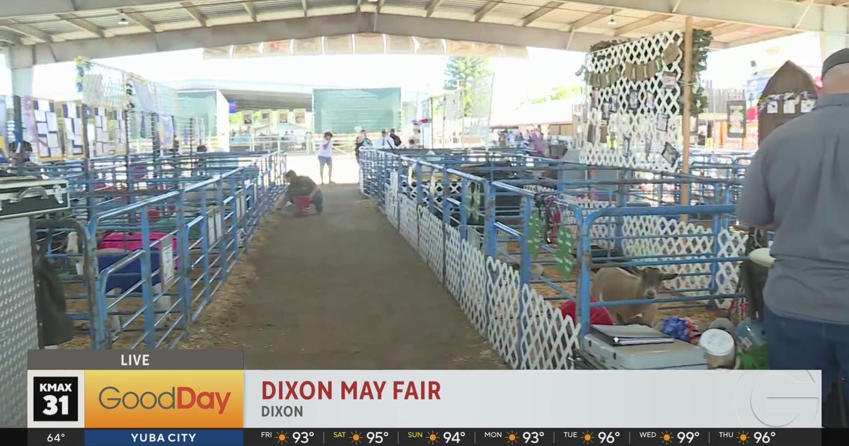 Fun at the Dixon May Fair! - Good Day Sacramento