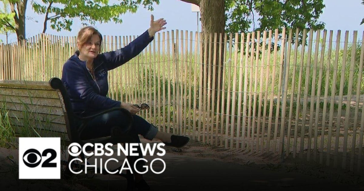 Suburban fence fight frustrates residents - CBS Chicago
