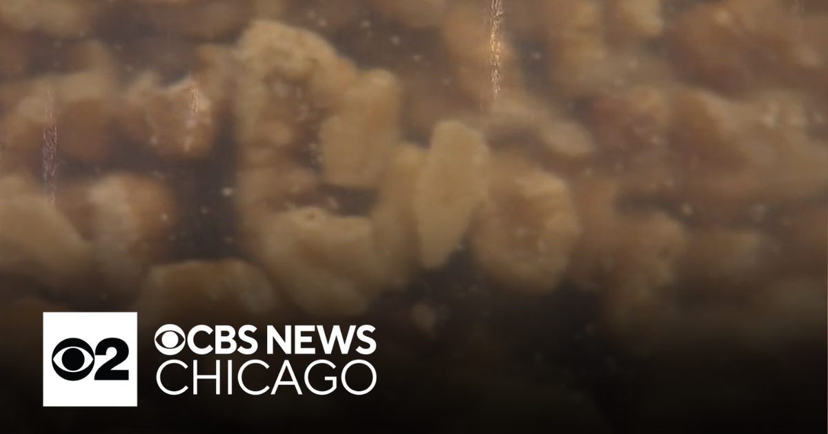 Happy National Walnut Day! - CBS Chicago