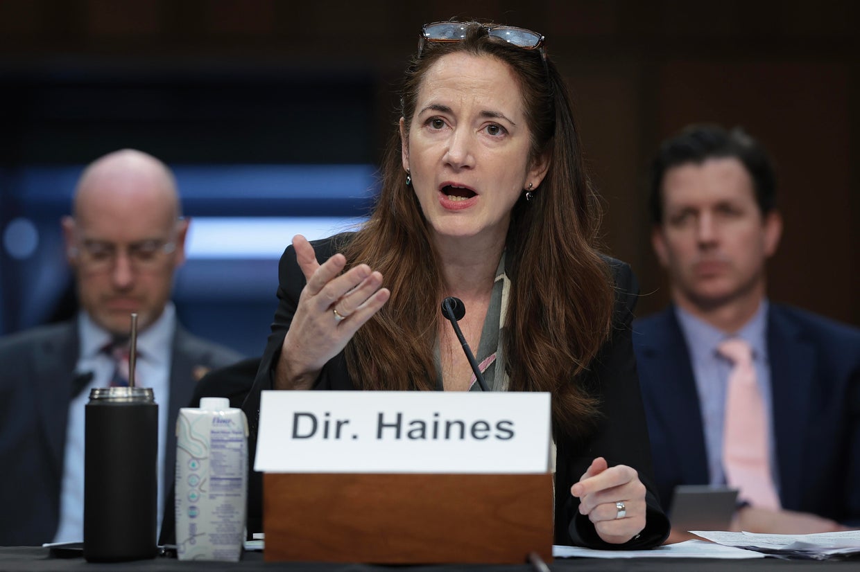 Generative AI poses threat to election security, federal intelligence ...