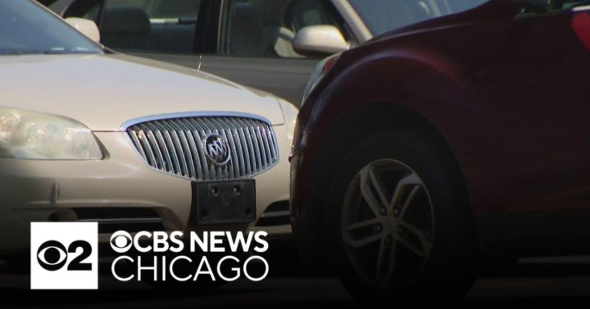 Mother, son arrested in attempted carjacking on Chicago's West Side ...