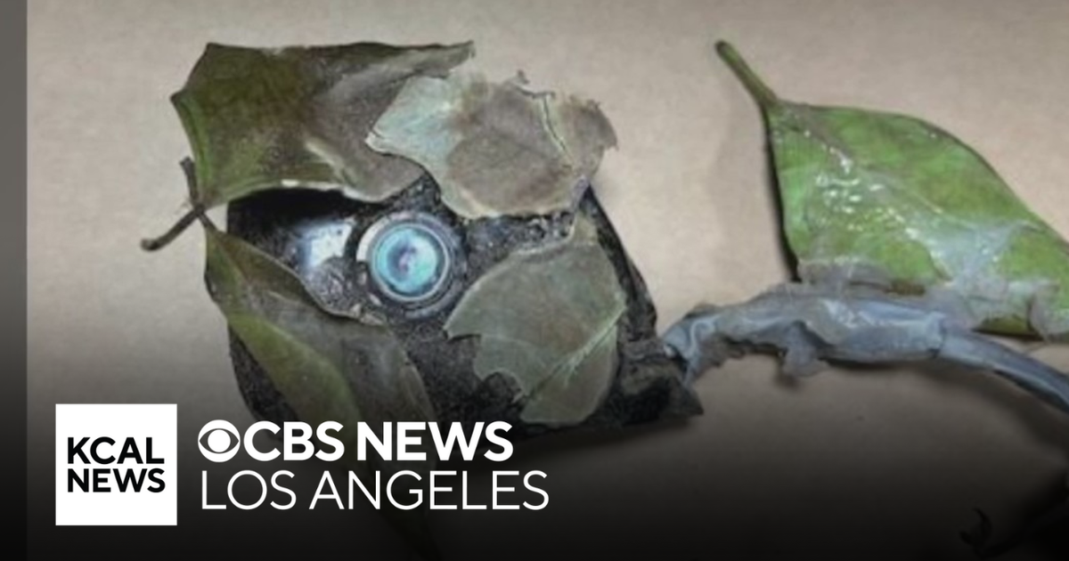Hidden camera discovered with burglary tourism suspect - CBS Los Angeles
