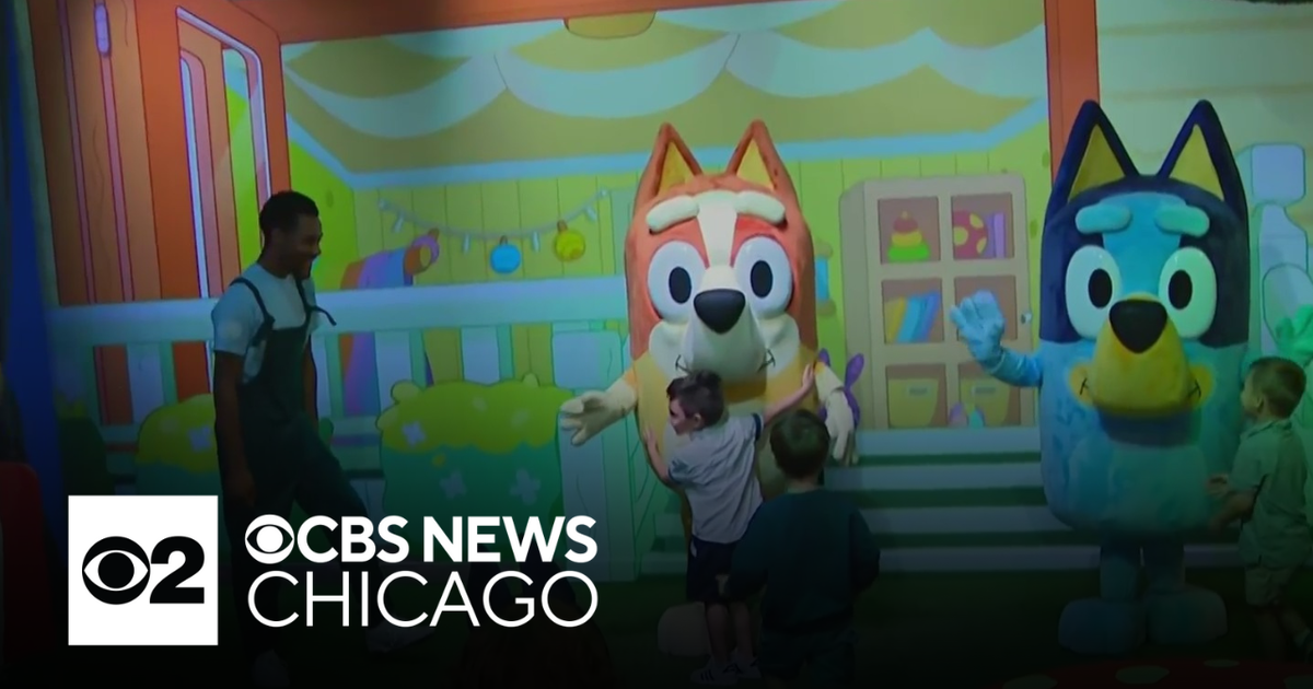 Calling all Bluey fans, check out an immersive experience in Lincoln ...