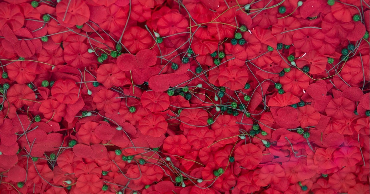 Poppy Wall of Honor returns to National Mall for Memorial Day - CBS News