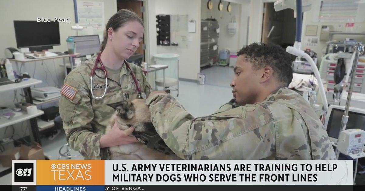 U.S. Army veterinarians train to help dogs that serve in front lines ...