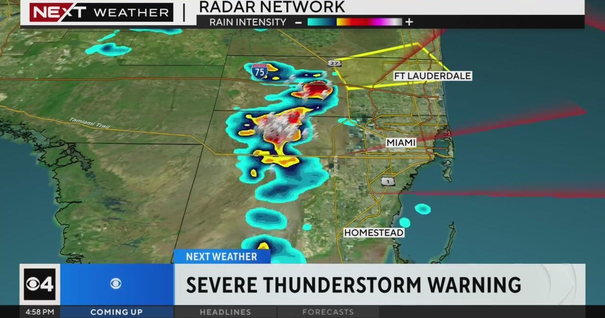 NEXT Weather Alert: Severe thunderstorm warning for Broward County ...