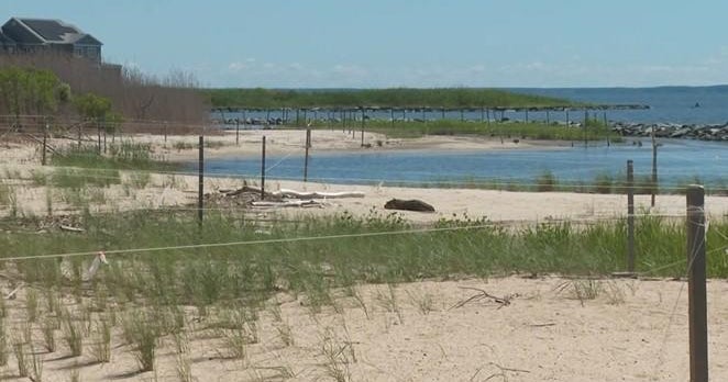 Newly completed living shoreline will help preserve shrinking shoreline ...