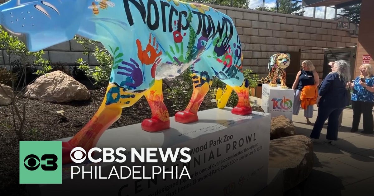 Montgomery County's vibrant jaguar statues revealed at Elmwood Park Zoo ...