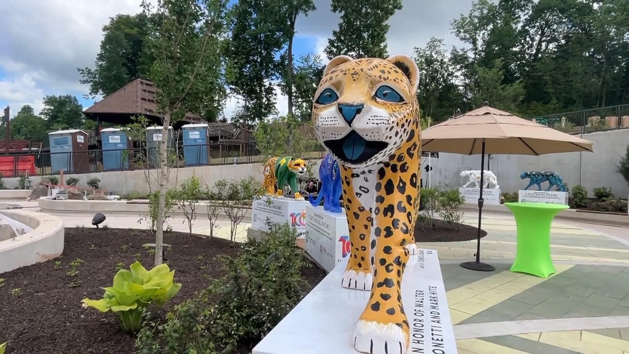 Colorful jaguar statues unveiled at Elmwood Park Zoo to be installed ...